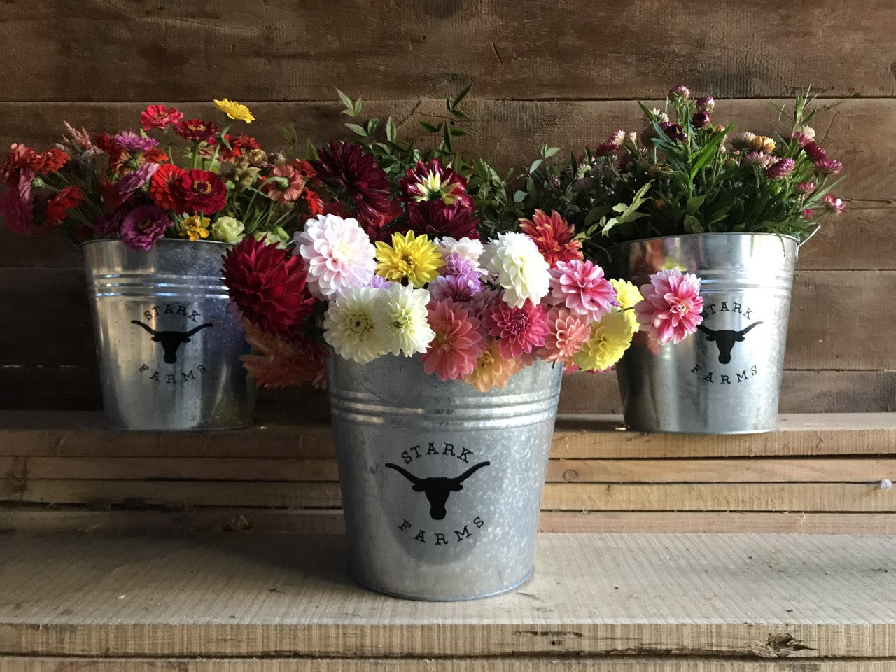 Stark Farms – starkfarms