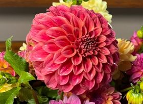 Sylvia Craig Hunter – starkfarms
